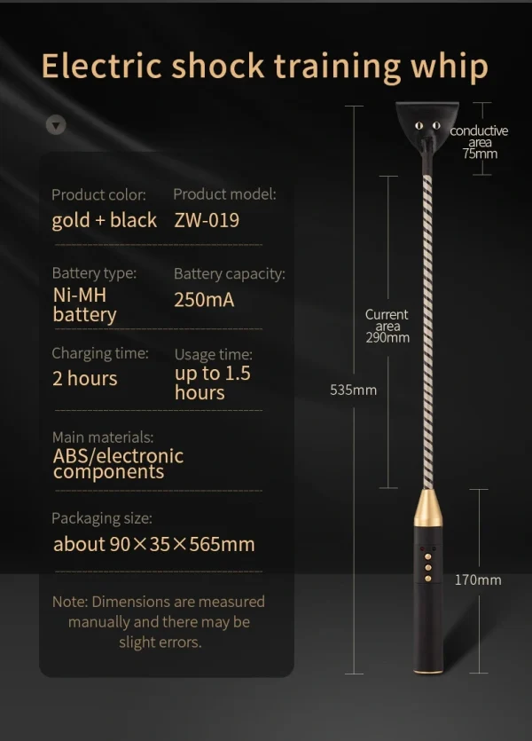 Electric Whip - Electric shock training whip (ZW-019) - RoomFun